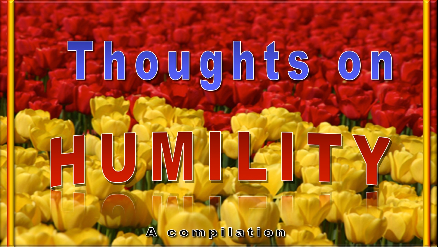 Thoughts on Humility - A presentation about Humility - Tommy's Window