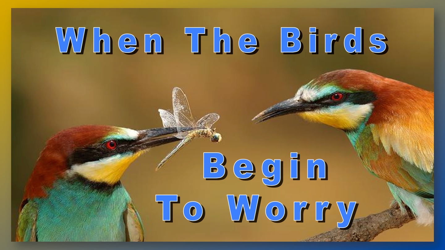 When the Birds Begin to Worry - A PowerPoint about Trust - Tommy's Window