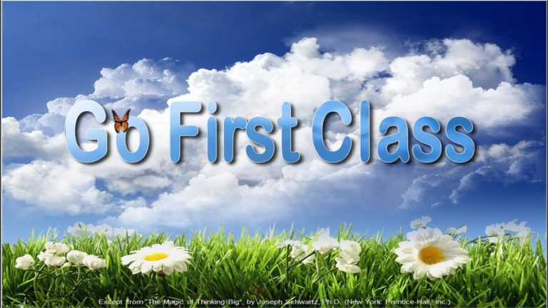Go First Class | Tommy's Window