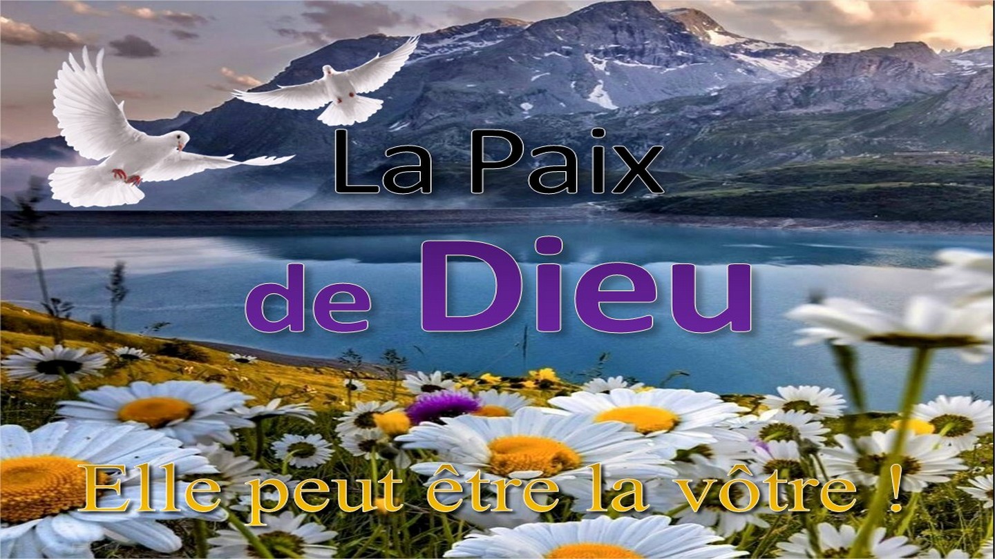 La Paix de Dieu | Tommy's Window