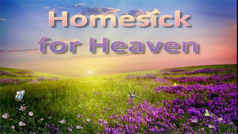 Homesick For Heaven Tommy s Window homesick-for-heaven-tommy-s-window