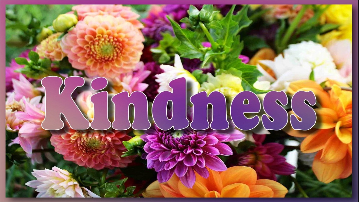 Kindness | Tommy's Window