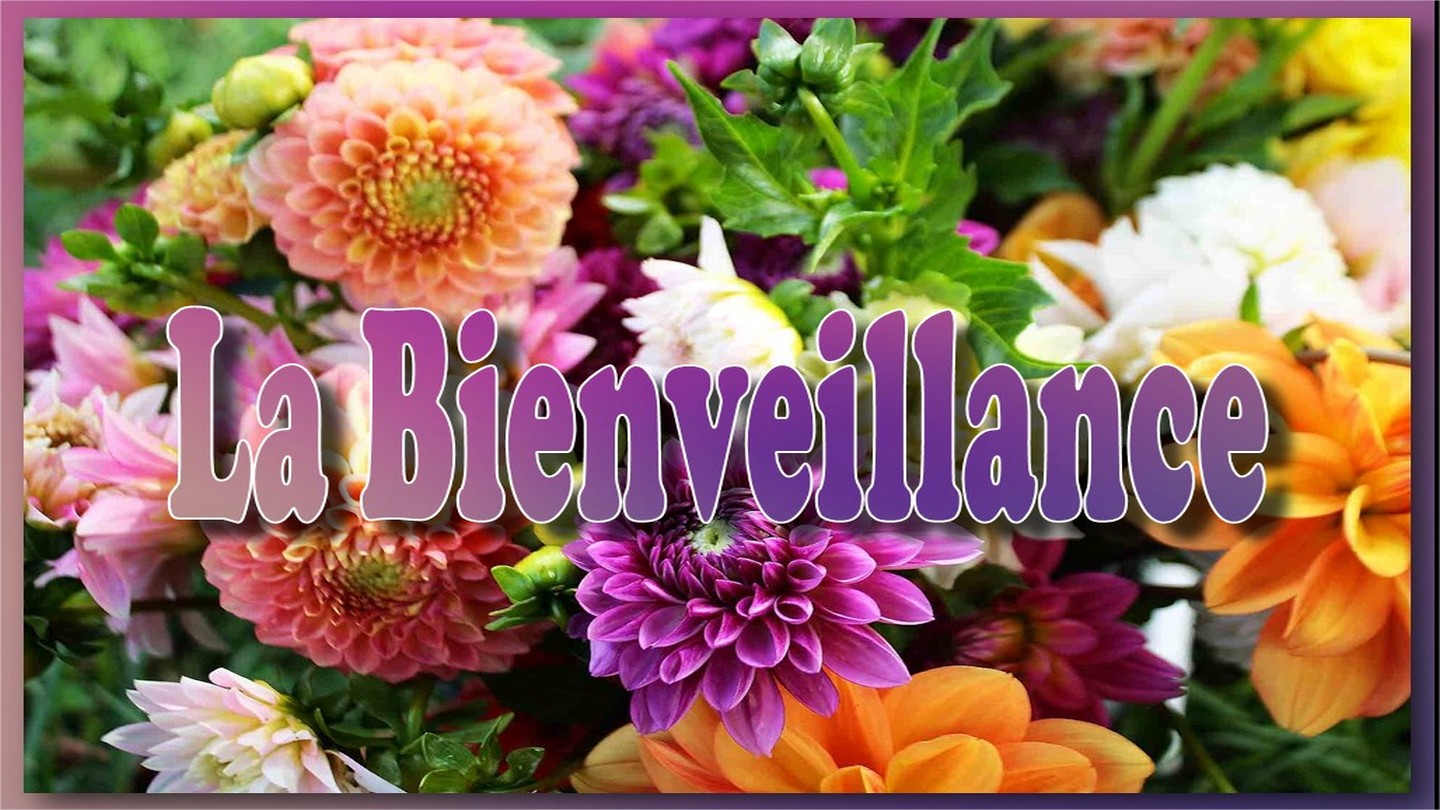 La Bienveillance | Tommy's Window