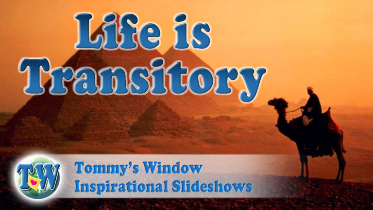 Life is Transitory | Tommy's Window