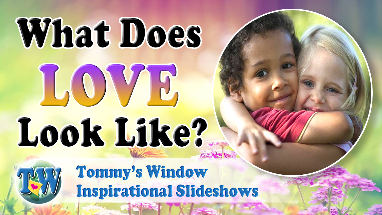 What Does Love Look Like? | Tommy's Window
