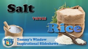 "Salt vs Rice" - A small amount of the right stuff has great impact