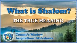 What is Shalom? - Shalom is wholeness, completeness, soundness, health ...